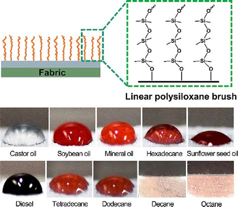 Oleophobic Coatings Lakshmi Gopal Tirumalai Sudarshan 2024
