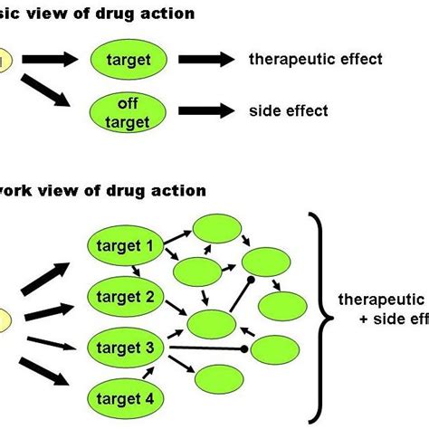 Multi Target Drugs Are Target Multipliers The Top Left Panel And The Download Scientific