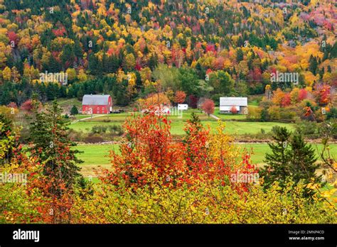 Fall Foliage Color Along The Cabot Trail Cape Brreton Island Nova