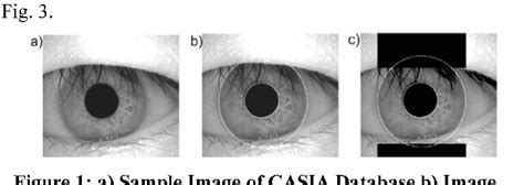 Figure 1 From Elliptical Sector Based Dct Feature Extraction For Iris Recognition Semantic Scholar