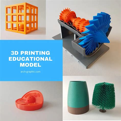 Educational 3d Models Education Center