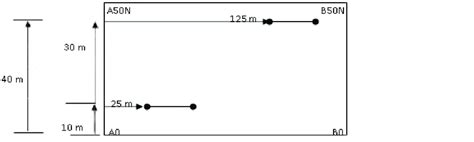 9 Diagram Indicating Locations Of Vegetation Sampling Lines Within A