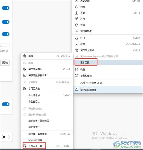 edge浏览器如何禁止f12打击开发者选项？ edge浏览器取消按下f12打开开发者模式的方法 极光下载站
