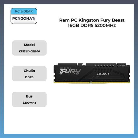 Ram Pc Ddr5 Pcngon