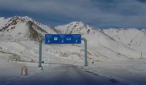 Yak Khunjerab Pass Beautiful Yak In The Mountains Near Pak China
