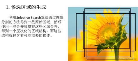 关于faster Rcnnfasterrcnn参数量 Csdn博客