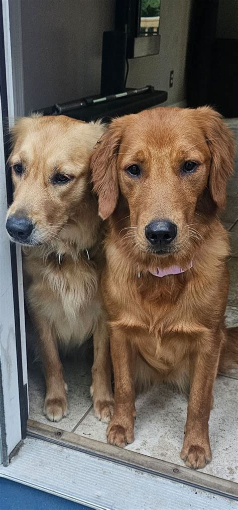 Bobby Poirier On Linkedin Topsecret Secretclearance Dmv Networkengineer