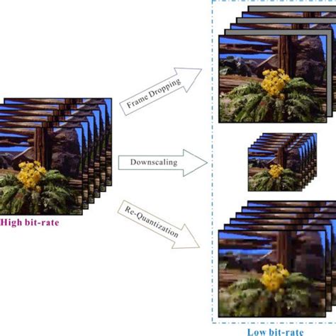 Various Bit Rate Transcoding Techniques Download Scientific Diagram