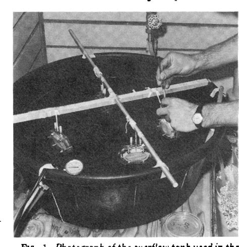 Streptococcus Equinus Semantic Scholar