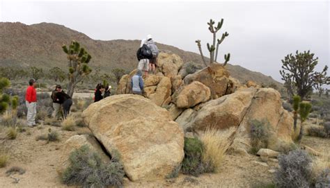 Back To Granite On Cima Dome Wooster Geologists