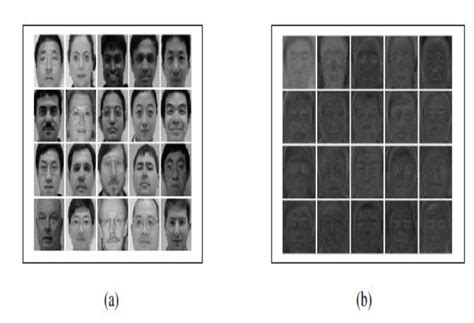 Computation Of The Eigen Faces From A Set Of Face Images A Sample Download Scientific