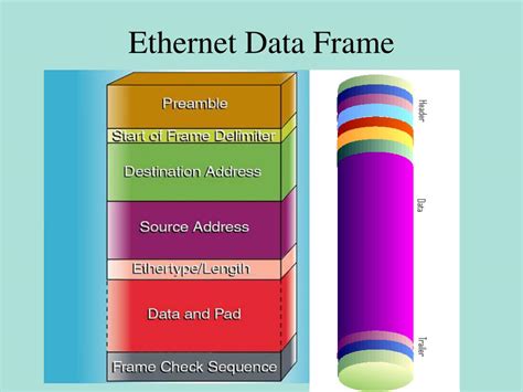 ppt chapter 2 networking standards and the osi model powerpoint