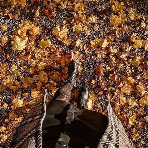 Iryna Lytvynenko On Instagram 🍂🍁🍂”
