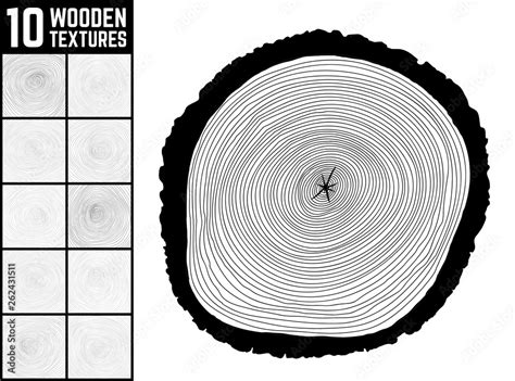 Vector Wooden Texture Tree Rings Background And Saw Cut Tree Trunk Stock Vector Adobe Stock