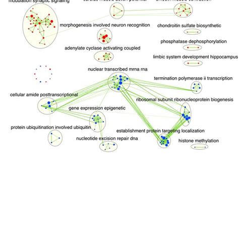 A Functional Map Of Memory Significantly Enriched Gene Sets FDR Download Scientific Diagram
