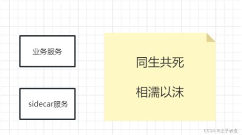 架构设计内容分享 六十八 ：云原生 service mesh 的 2 大宏观架构 sidecar 框架 csdn博客