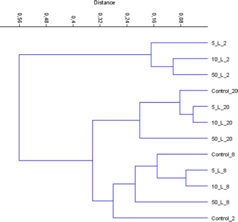 dendrogram obtained using the paired group algorithm and the gower