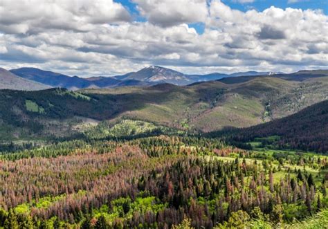 15 Best Things To Do In Helena Montana Goats On The Road