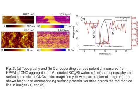 Mapping The Surface Potential Charge Density And Adhesion Of Cellulo
