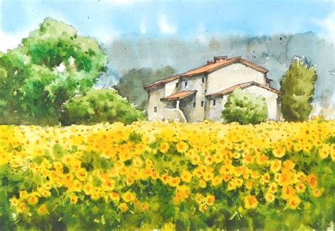 Namil Art Sunflower Field Landscape Watercolor Sketch And Color Name View Material Introduce