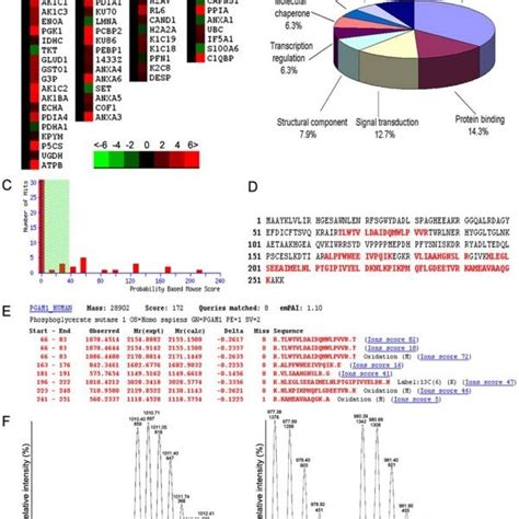 identification and quantification of proteins by lc ms ms based on