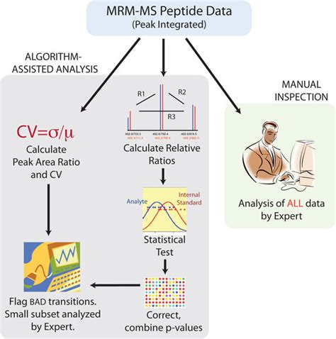 Analysis Work Flow For Isotope Dilution Mrm Ms Data With And Without Download Scientific