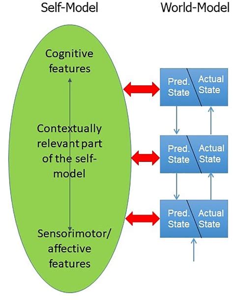 Frontiers The Embodied Self The Pattern Theory Of Self And The
