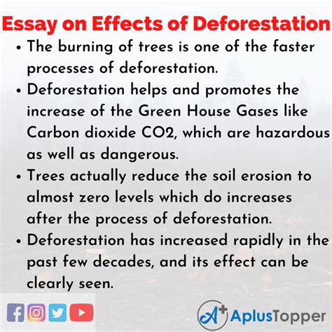 Essay On Effects Of Deforestation Artofit