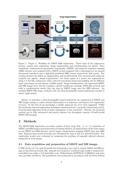 Deep Learning Facilitates Fully Automated Brain Image Registration Of