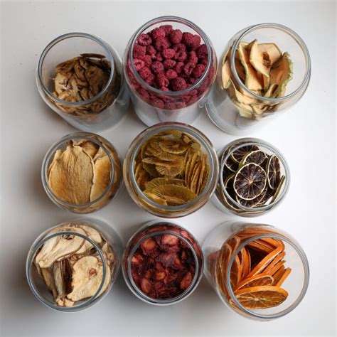 25 Best Vegan Probiotic Supplements To Keep Your Gut Healthy 2025