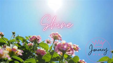 Why Shrink Back When You Can Shine Michelle Viscuse