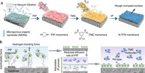 Microporous Organic Nanotube Assisted Design Of High Performance Nanofiltration Membranesnature