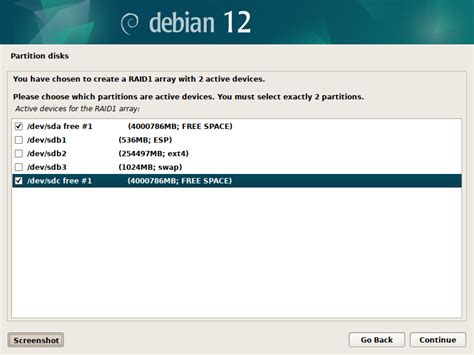 grub2 debian 12 bookworm installing a software raid 1 fails with
