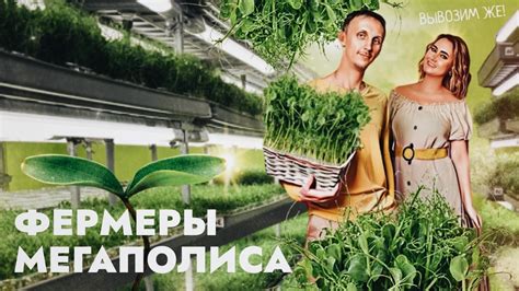 Фермеры мегаполиса - YouTube