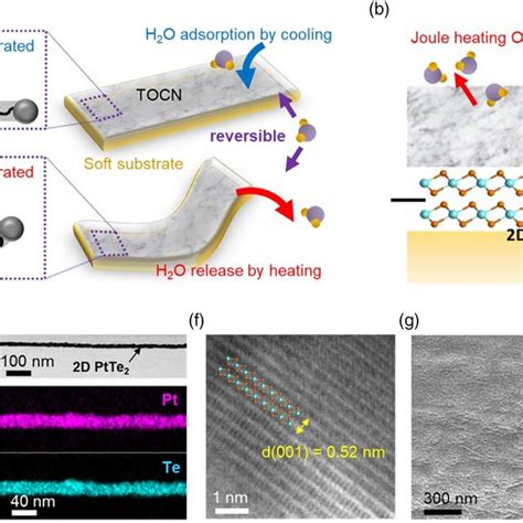 Schematic Diagram Of The Structure Of Graphene And Its Derivatives Download Scientific Diagram