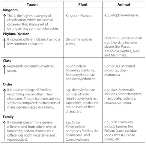 The Taxonomic Hierarchy Diagram