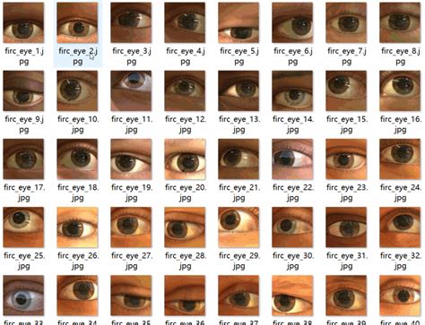 数据集 目标检测 瞳孔虹膜检测数据集vocyolo格式8768张2类别虹膜数据集 Csdn博客 数据集 目标检测 瞳孔虹膜检测数据集vocyolo格式8768张2类别虹膜数据集 Csdn博客