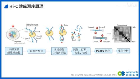 Pacbio三代基因组组装简介 Pacbio三代测序组装基因组 Csdn博客