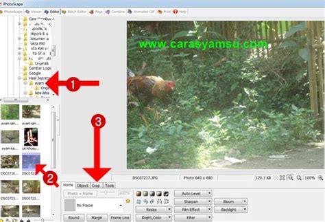 Cara Memotong Crop Foto Gambar Di Photoscape Biologizone