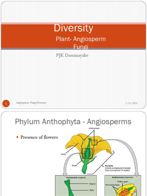 Diversity Angiosperms Fungi Pdf Fungus Mycology