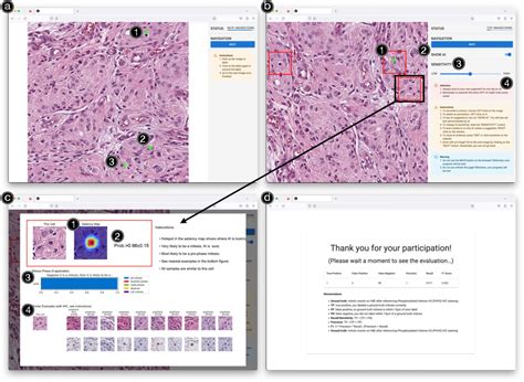 Figure 3 From Majority Voting Of Doctors Improves Appropriateness Of Ai