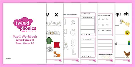 Recap Level 3 Week 11 Workbook Teacher Made Twinkl