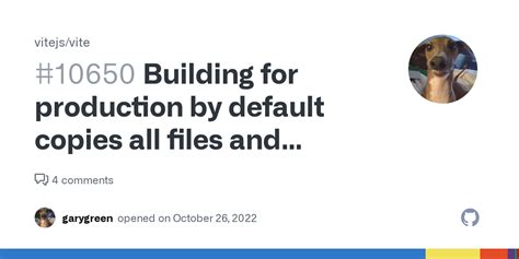 Building For Production By Default Copies All Files And Folders From