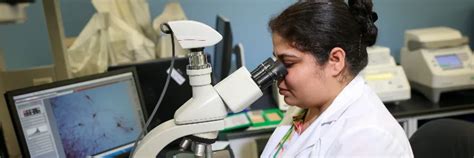 Bioengineering Vs Biomedical Engineering Whats The Difference University Of North Dakota