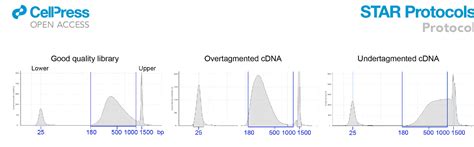 Figure 8 From Miniaturization Of Smart Seq2 For Single Cell And Single Nucleus Rna Sequencing