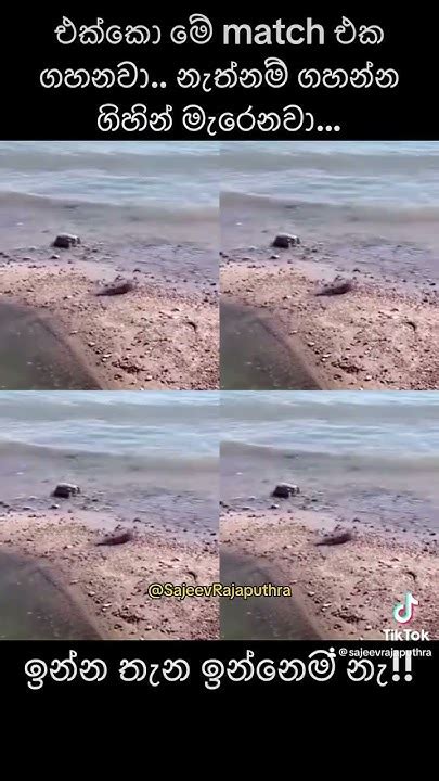 අදම පළවෙනි අඩිය තියන්න 💪🏼 Youtube