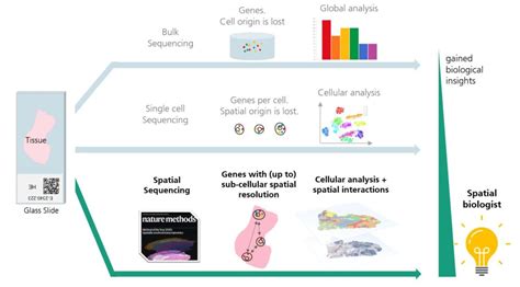 List Of Commercial Spatial Biology Instruments Assays And Softwares