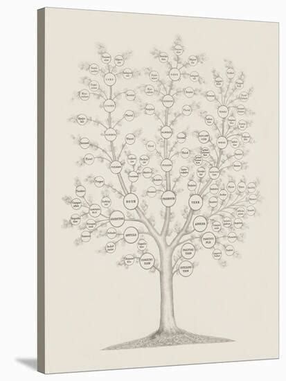 Grammar Tree Stretched Canvas Print The Drammis Collection