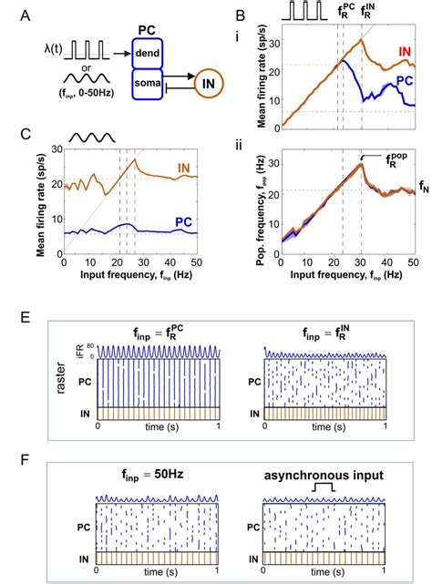 Input Frequency Dependent Output Response Profiles A Diagram Of Pfc