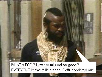 Mr T Versus Big IT Consulting Companies Chester S Blog
